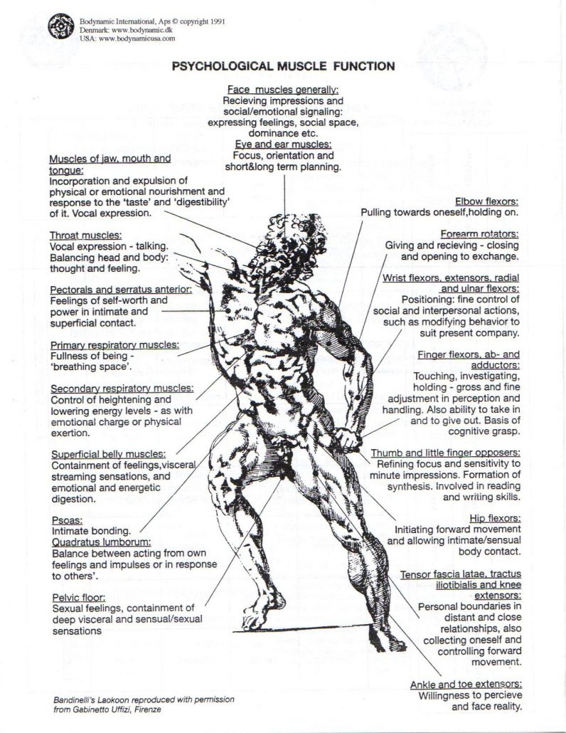 Psychological Muscle Functions - Mind Body Resourcing